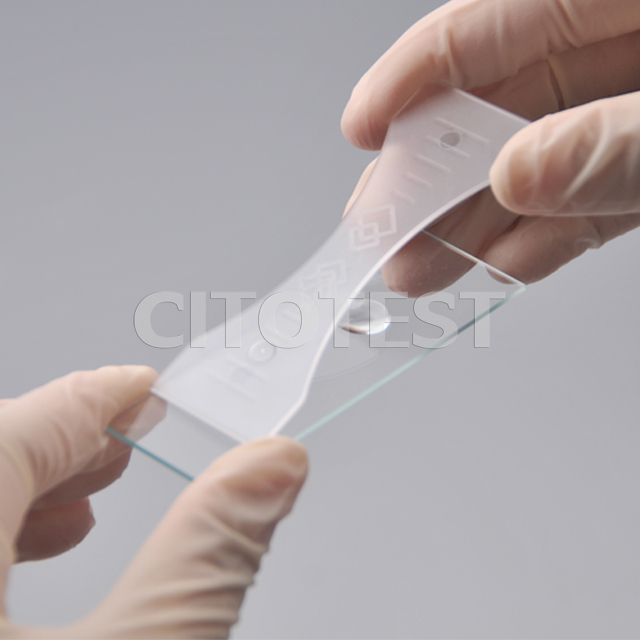 Plastic spatula for blood smear - Buy blood smear Product on Citotest ...
