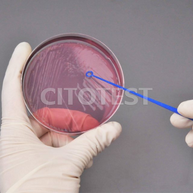 Plastic Loops - Buy Color-coded sizes for easy identification Rigid and ...